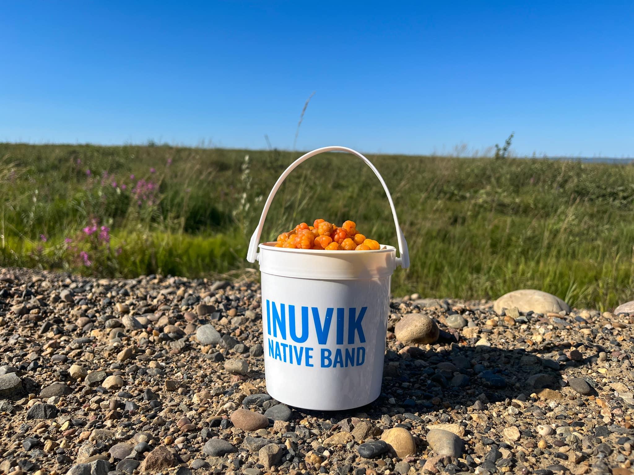 Indian Status or Status Card Registration